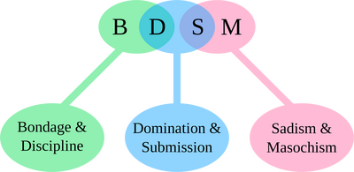 BDSM Media (Bundle) - Mudae