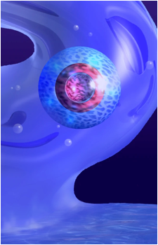 Morpha | The Legend of Zelda: Ocarina of Time - Mudae