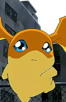 Patamon | Digimon Adventure - Mudae