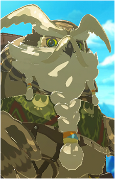 Kaneli | The Legend of Zelda: Breath of the Wild - Mudae