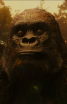 Bernie the Gorilla | Zookeeper - Mudae