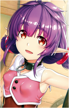 Seri | Isekai Meikyuu de Harem wo - Mudae